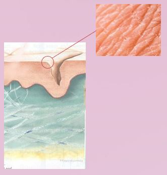 Revert time - NEST Skin, Body & Wellbeing | Beauty Salon Taringa Call ...
